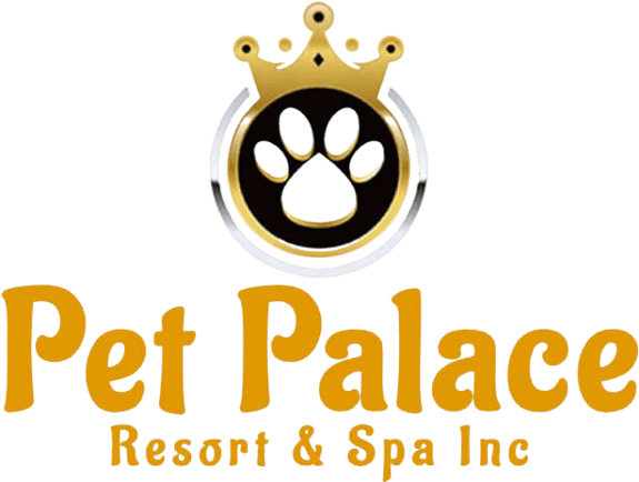 Luxury Pet Services | Boarding, Grooming, and Daycare
